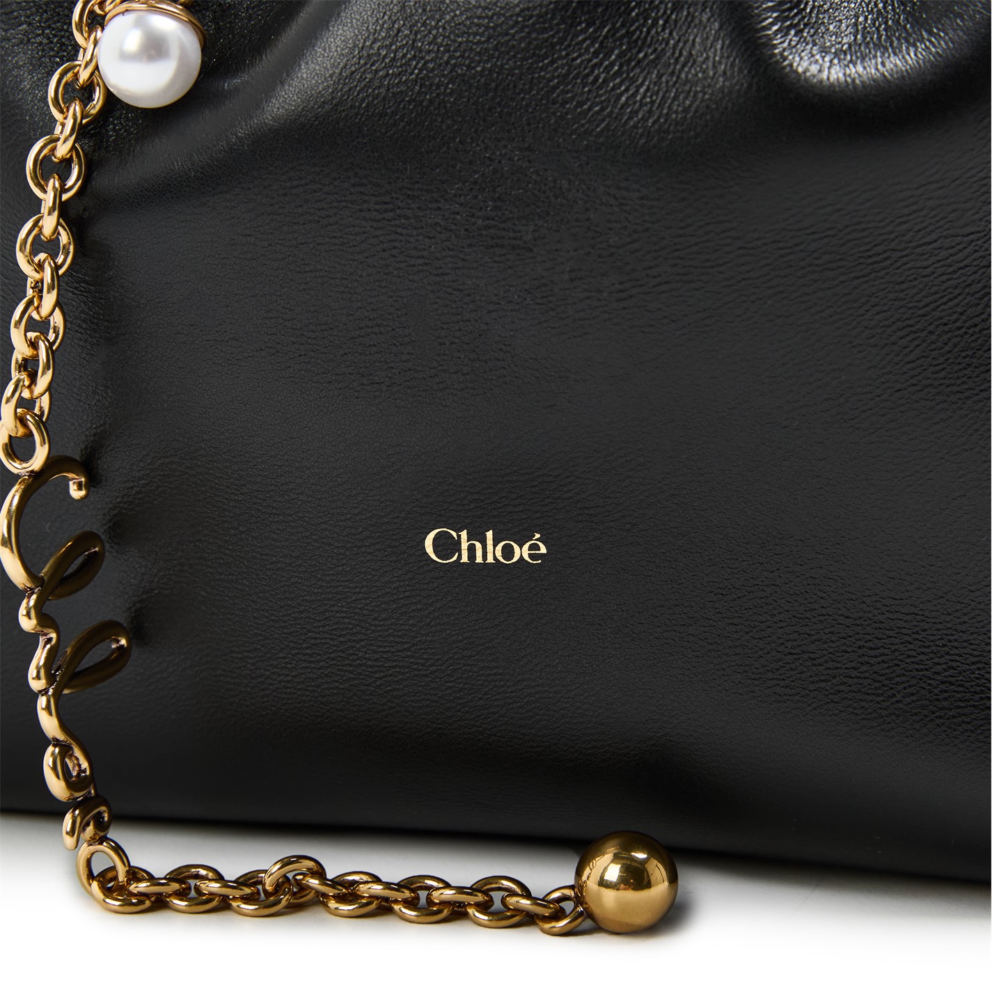 CHLOE | Women's Icons Chain Pouch | Women | Pouches | Flannels