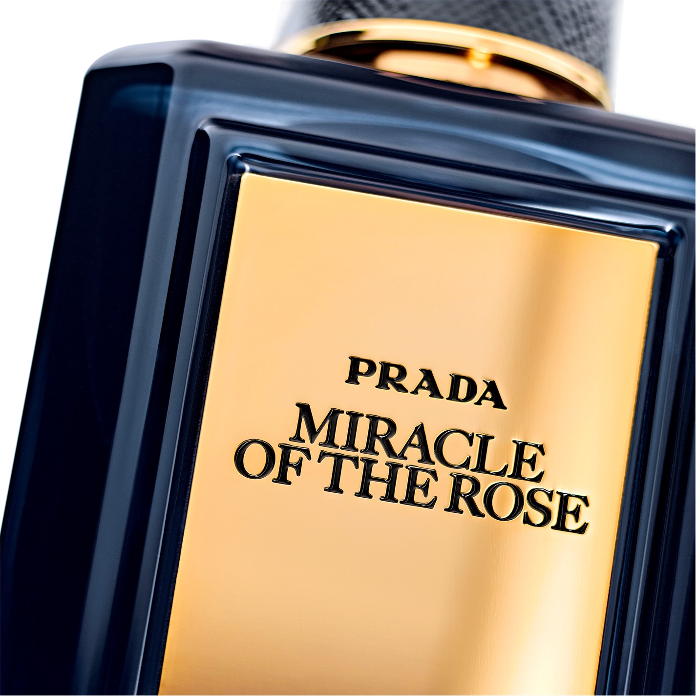 Prada Beauty | Beauty Olfactories Miracle Rose Eau de Parfum | Women ...