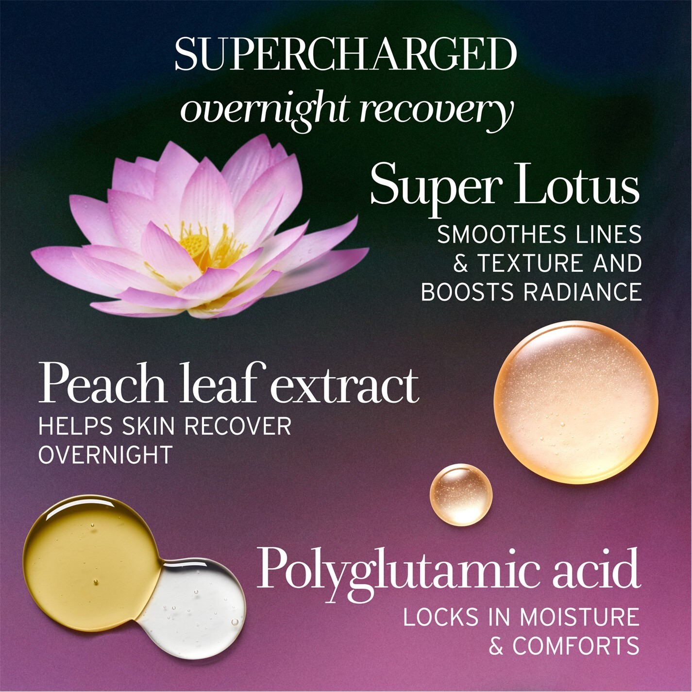 FRESH | Fresh Lotus Youth Preserve Dream Face Cream | Women | Cream ...