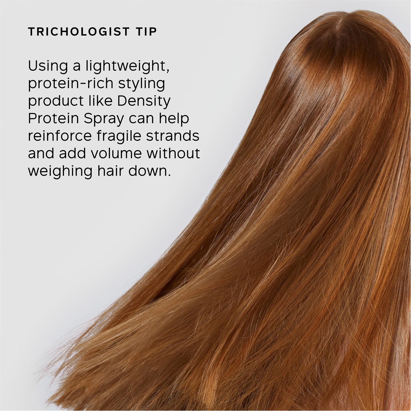 Philip Kingsley | Density Thickening Protein Spray | Women | Clear ...